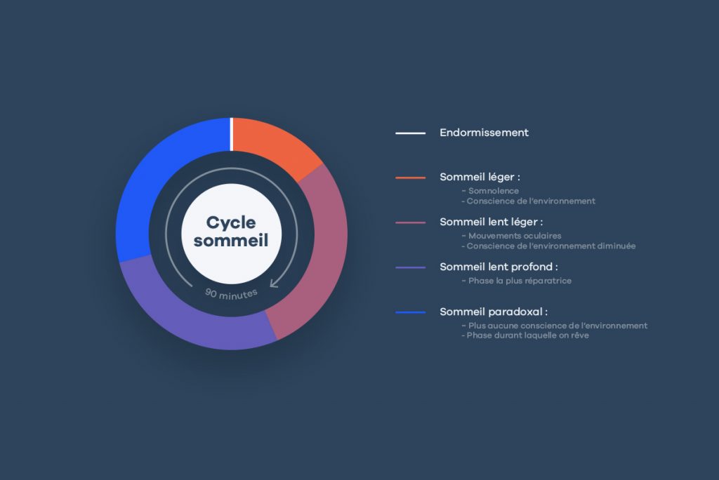 Le cycle du sommeil - Hypnia